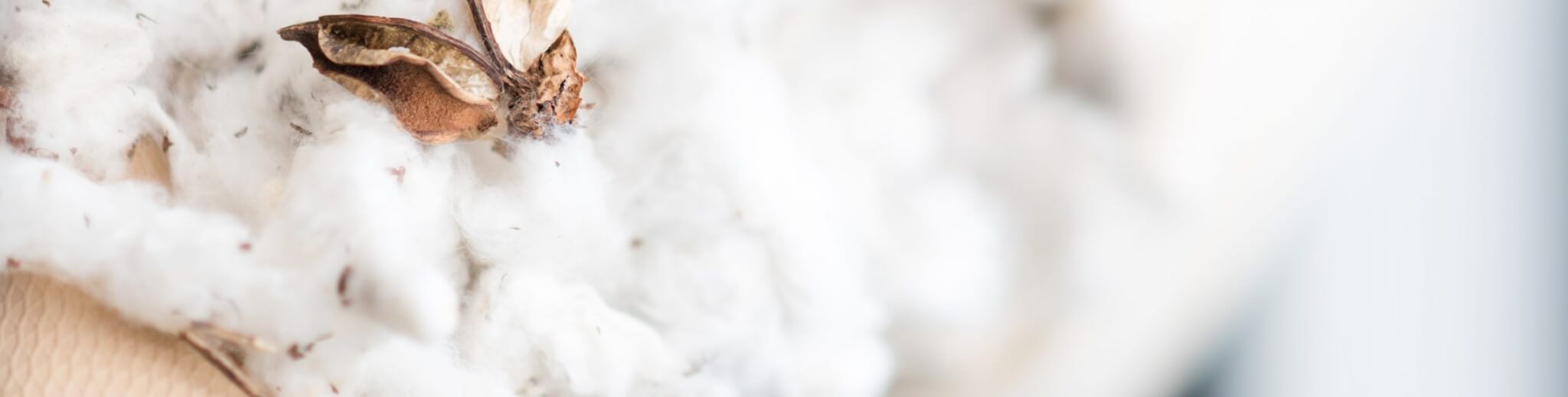 Textile pros choose cotton. CottonWorks™ | Why Cotton