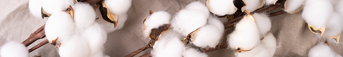 Cotton’s Unique Role in the Carbon Equation | CottonWorks™