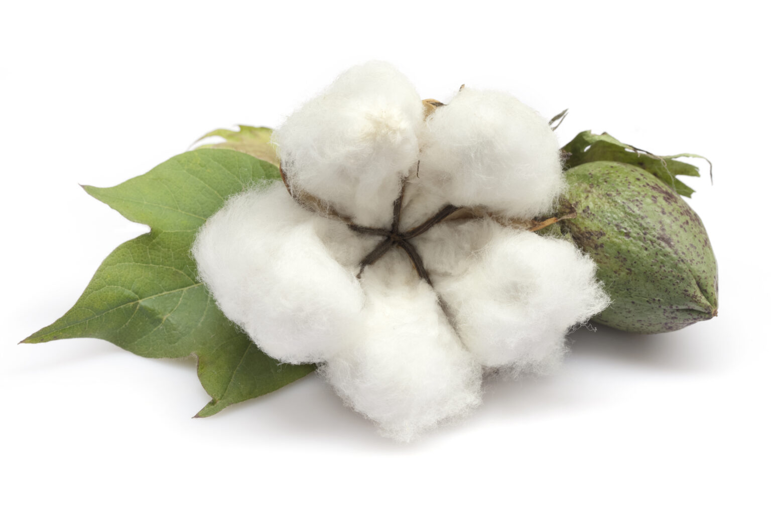 3 Ways Cotton is Committed to a Sustainable Future | CottonWorks™