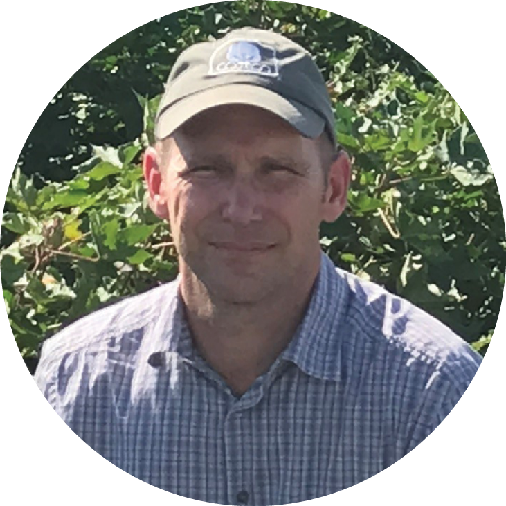 Promoting Soil Health Practices in Cotton Production | CottonWorks™