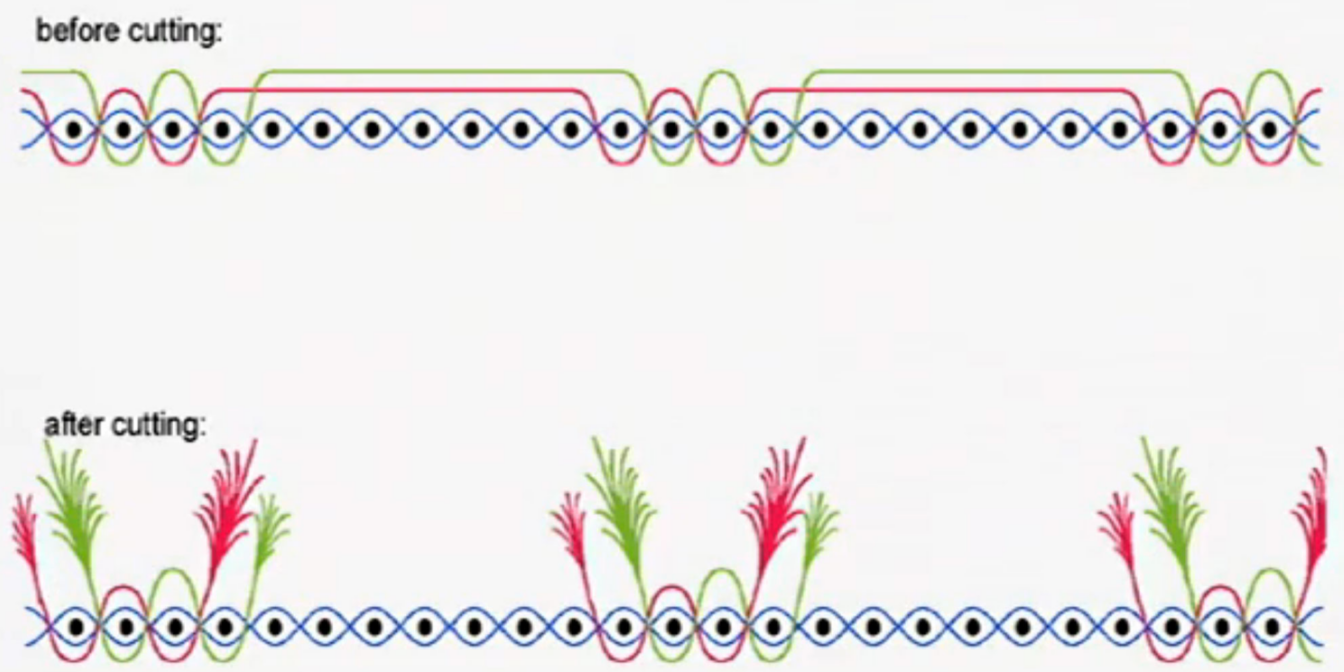 Complex Woven Fabric Designs | CottonWorks™