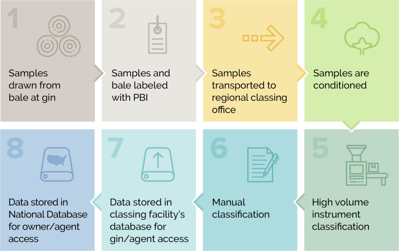 Cotton Fiber Classification | CottonWorks™