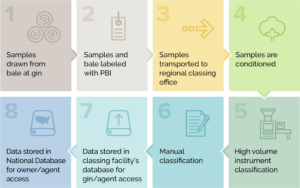 Cotton Fiber Classification | CottonWorks™