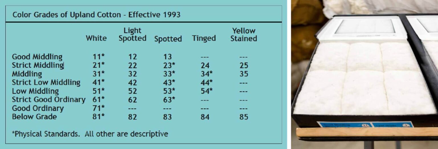 Cotton Fiber Quality | CottonWorks™