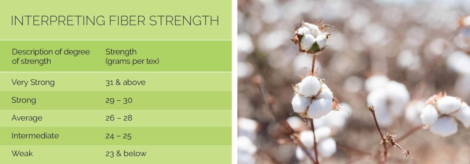 Cotton Fiber Quality | CottonWorks™