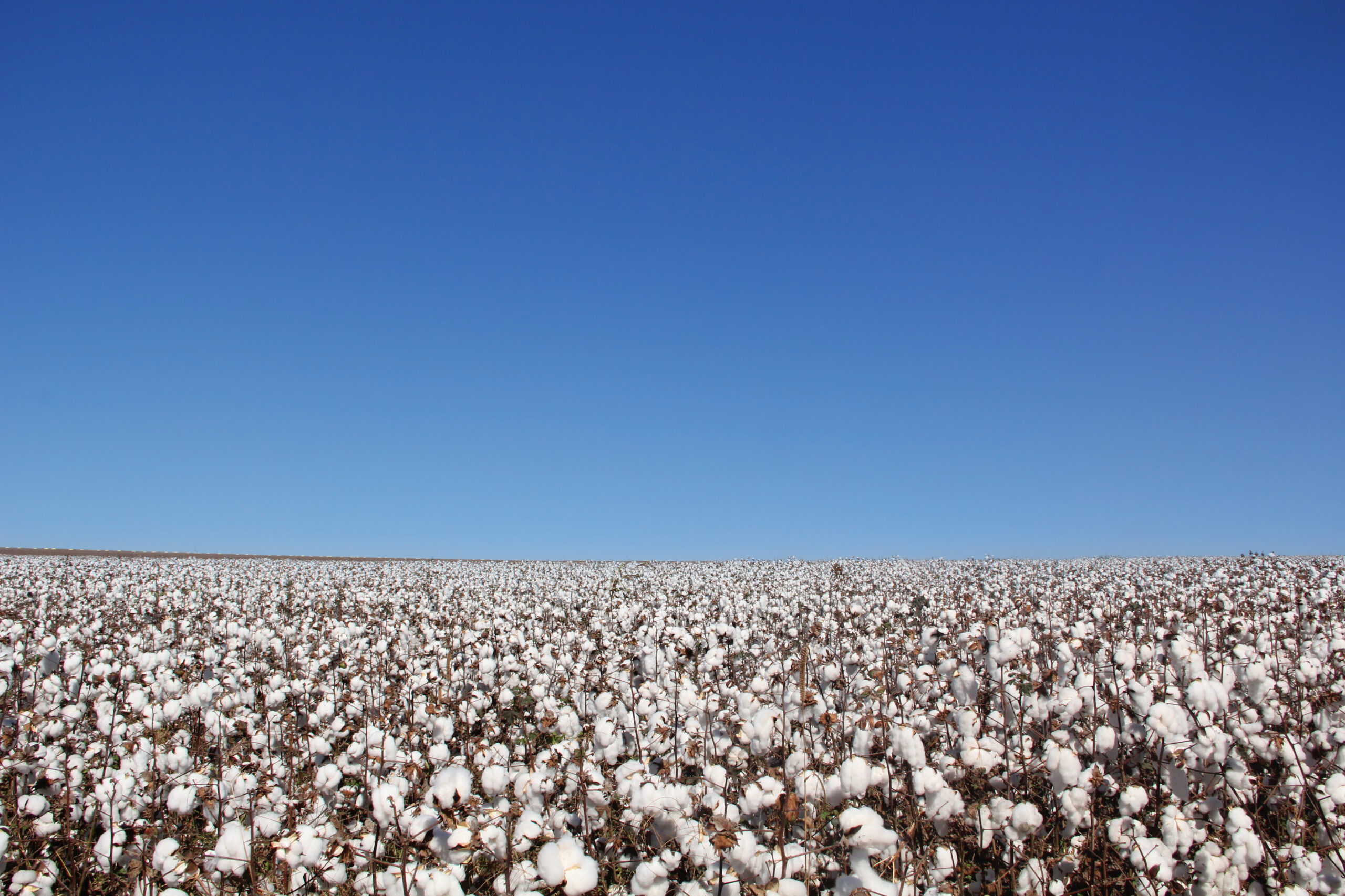 Cotton Sustainability Fundamentals | CottonWorks™